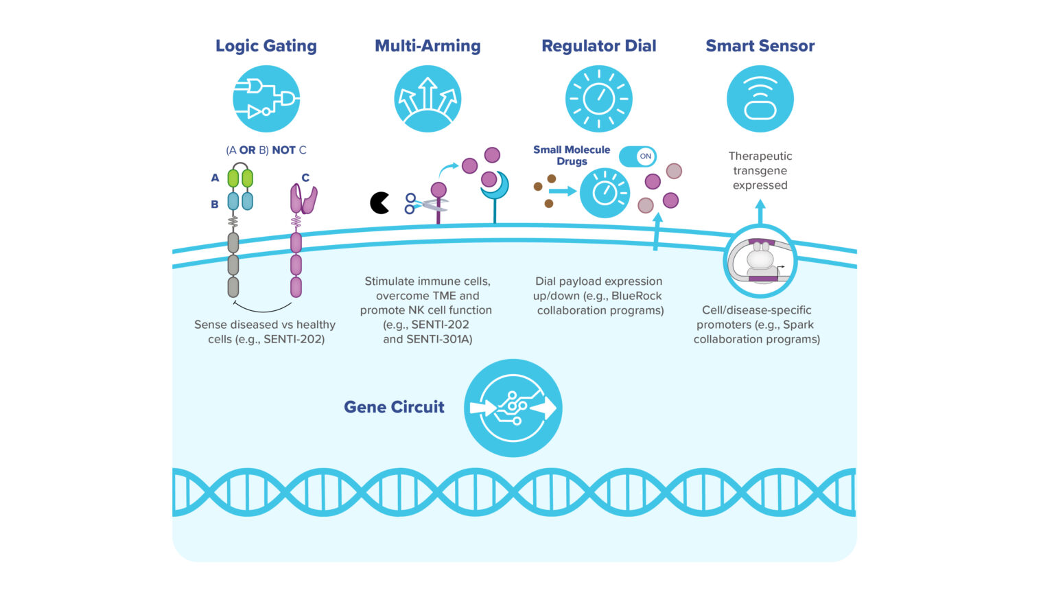 Overview - Senti Bio