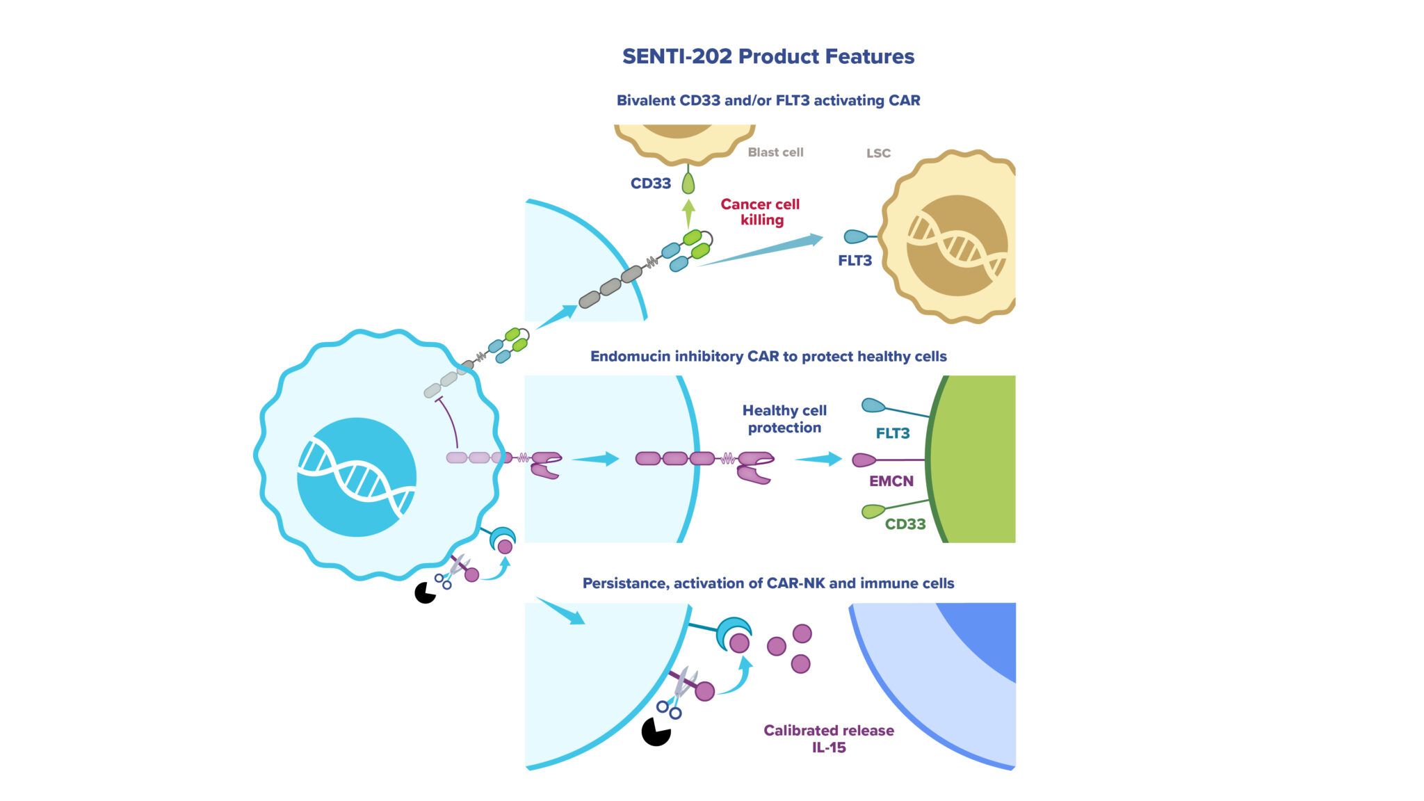 Products - Senti Bio