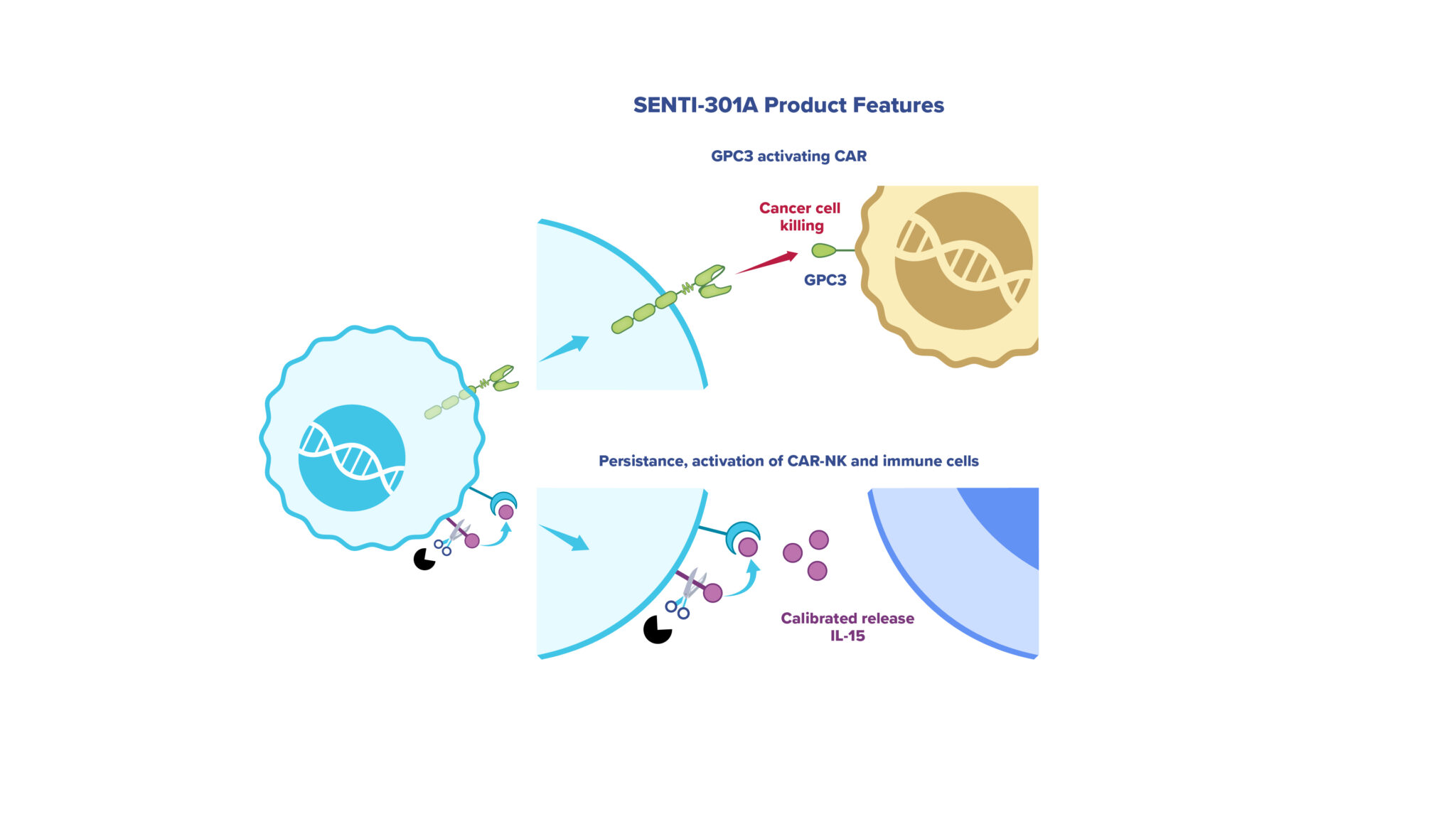 Products - Senti Bio